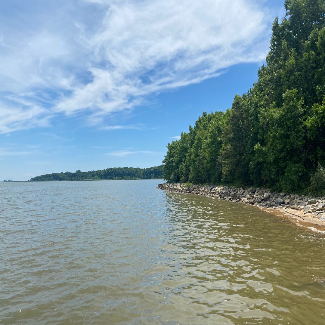 Hammerman Beach - Paddling and Sailing Center | Scuba Diving | Eastern ...